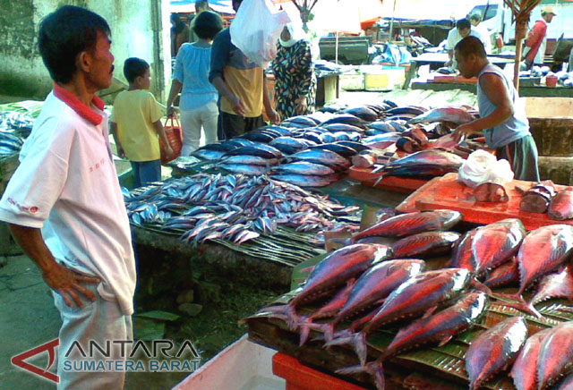 Di Sini Jual Ikan Segar Catatan Subuh Inspirasi Menyambut Hari