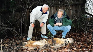 Dark Dissolution: The Body Farm