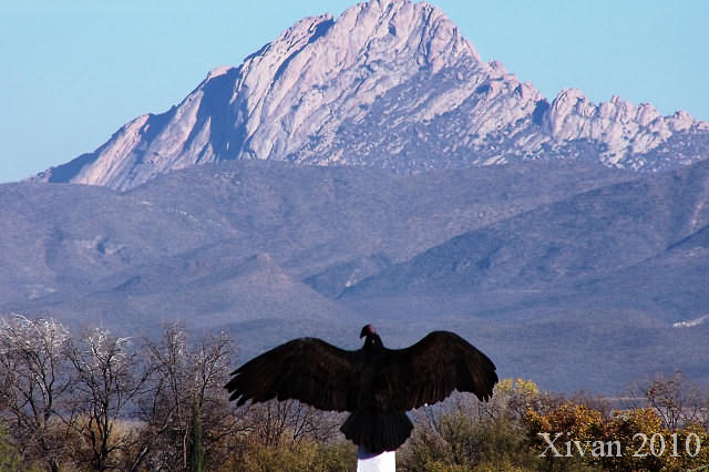 Peñon Blanco Durango: Tierra mística, Peñon Blanco Durango
