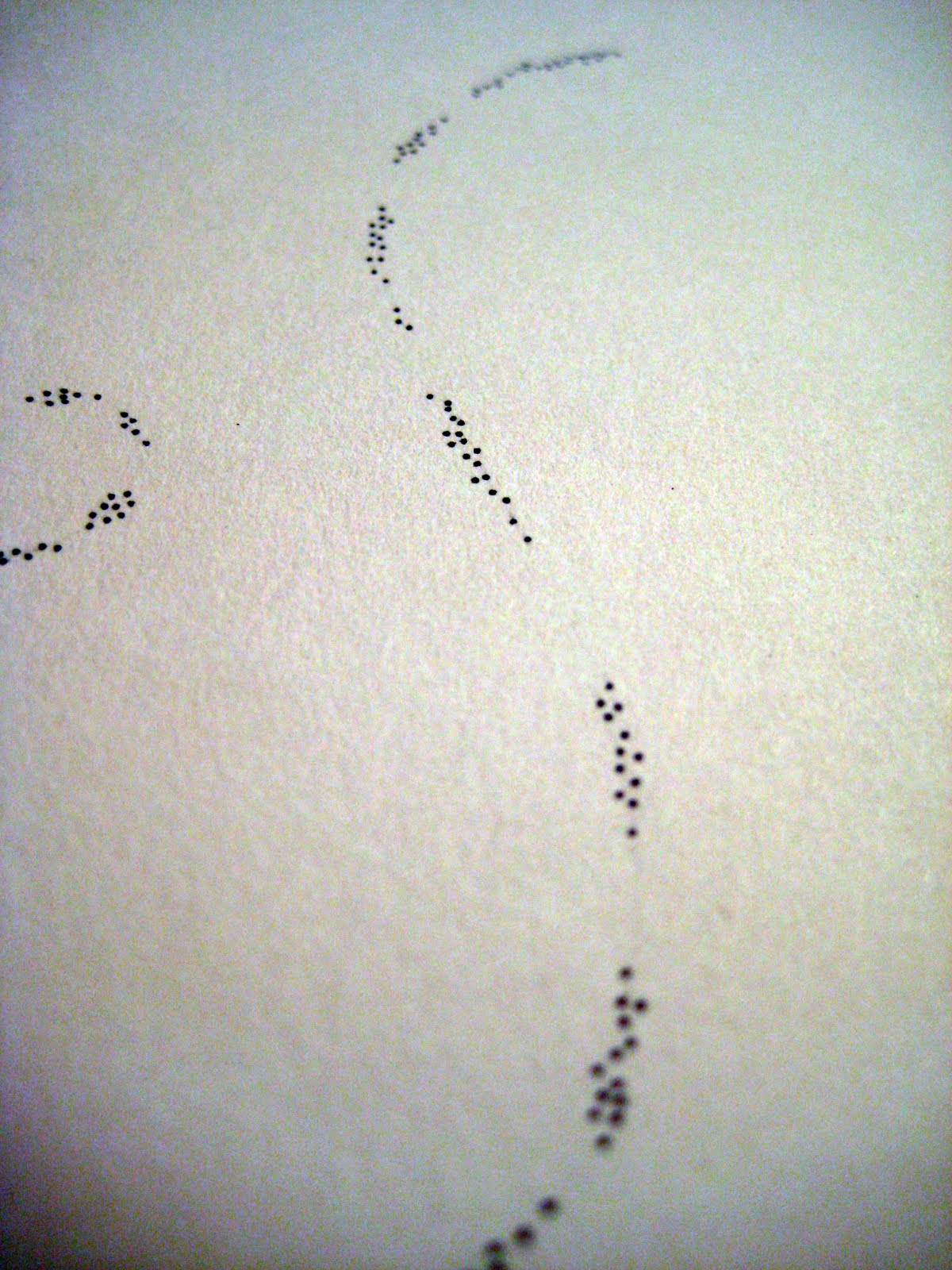 Matt Yow: illustrations