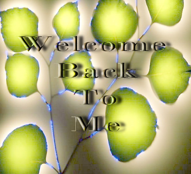 Welcome Back ... The Sweet Friend | THE COOL POSTS