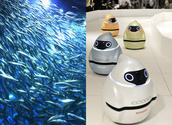 Incredible Technologies Inspired By Animals