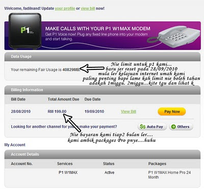 duMMies Things: P1 Wimax Package
