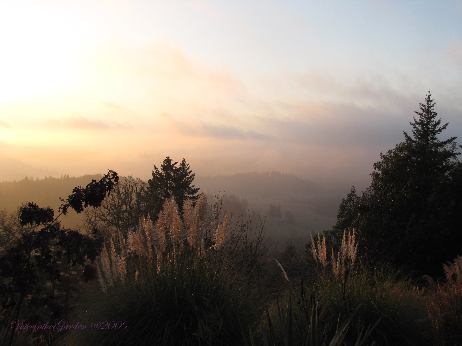 Voice In The Garden: Sunday Morning Sunrise
