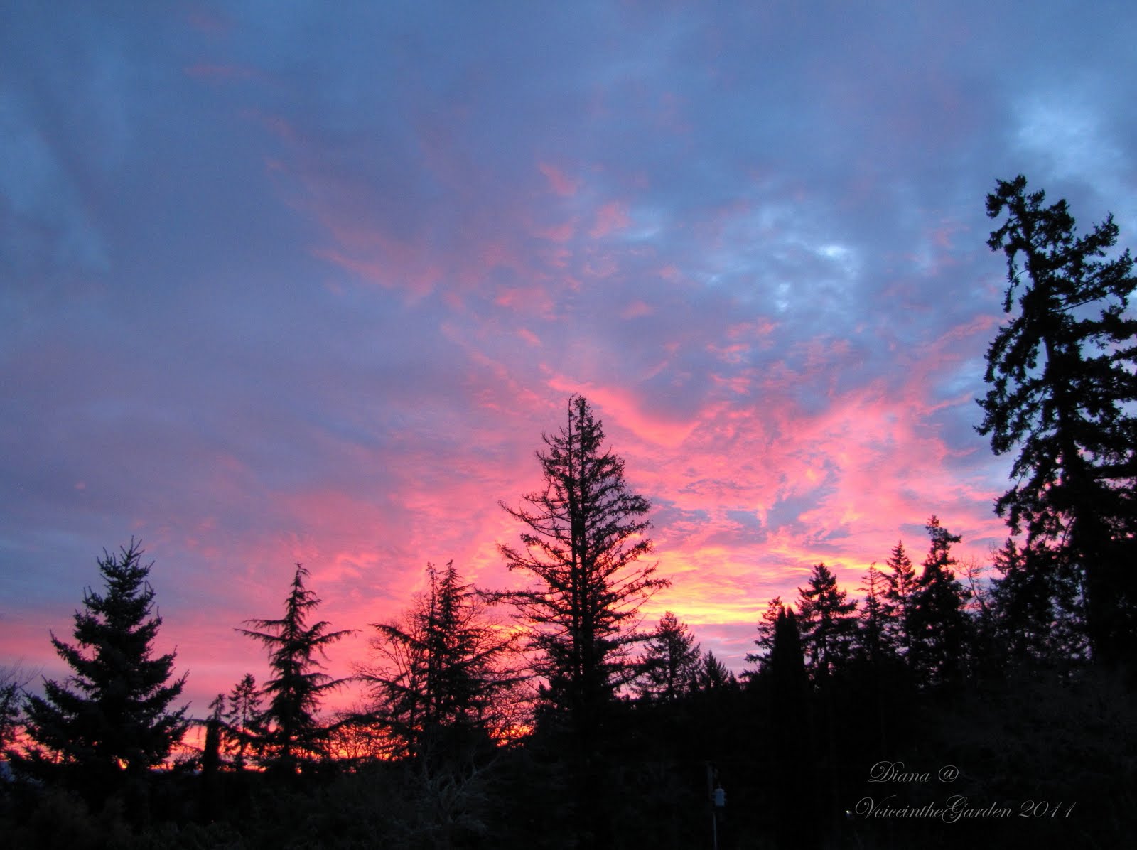 Voice In The Garden: Sunrise, Sunset