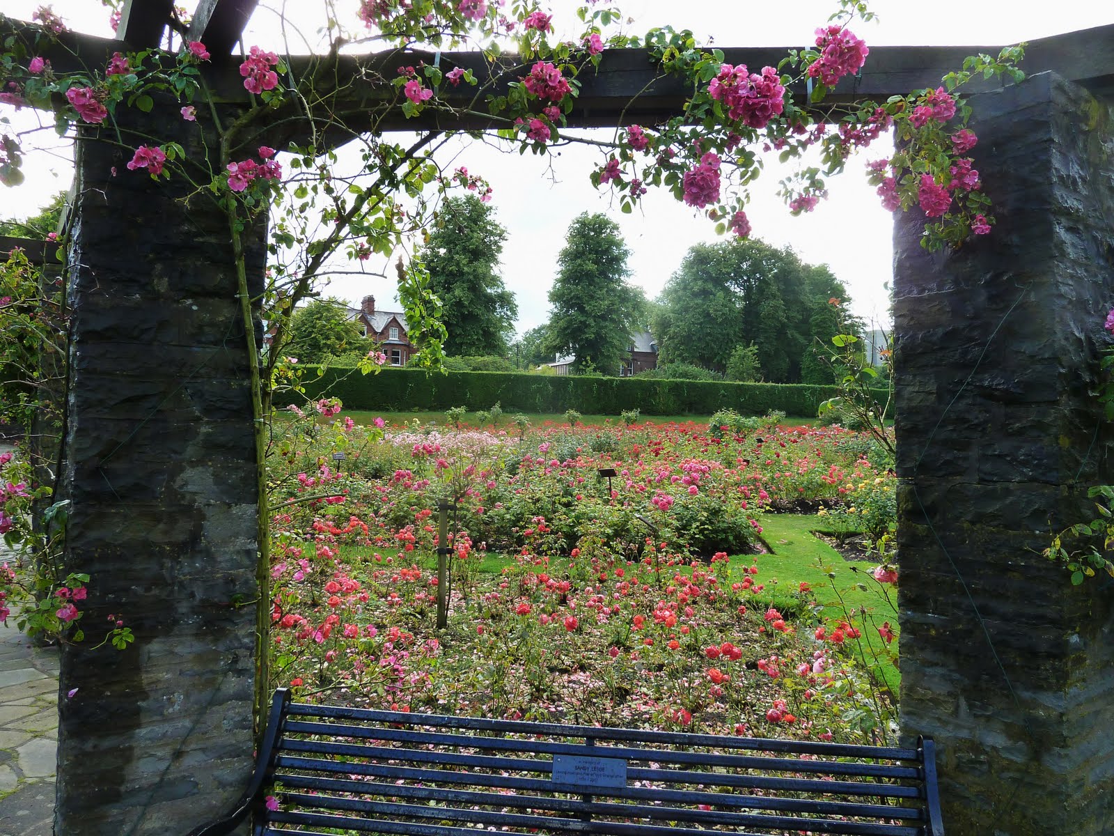 Travels with Shep: 4/4 Belfast: The Queen's University & The Ulster Museum