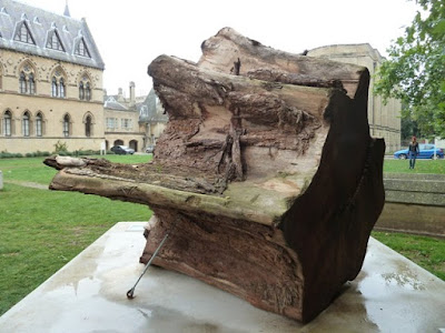 Travels with Shep: Tree trunks, dinos, fossils and views: Oxford