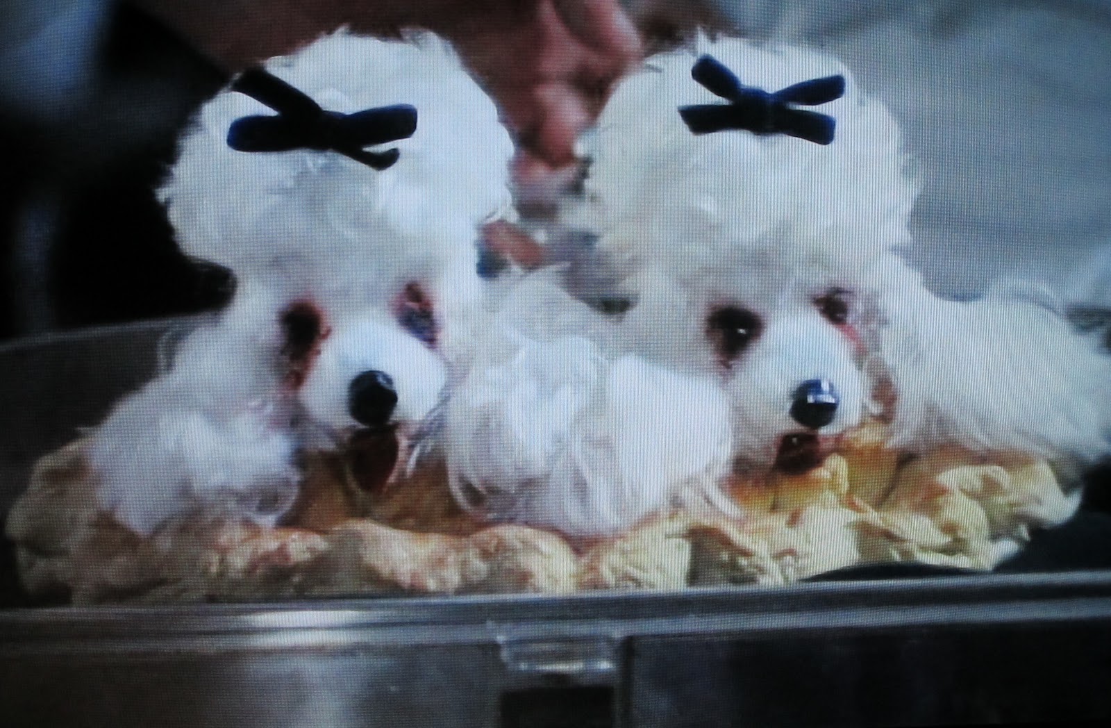 Satan's Orphans: Theater of Blood (1973)