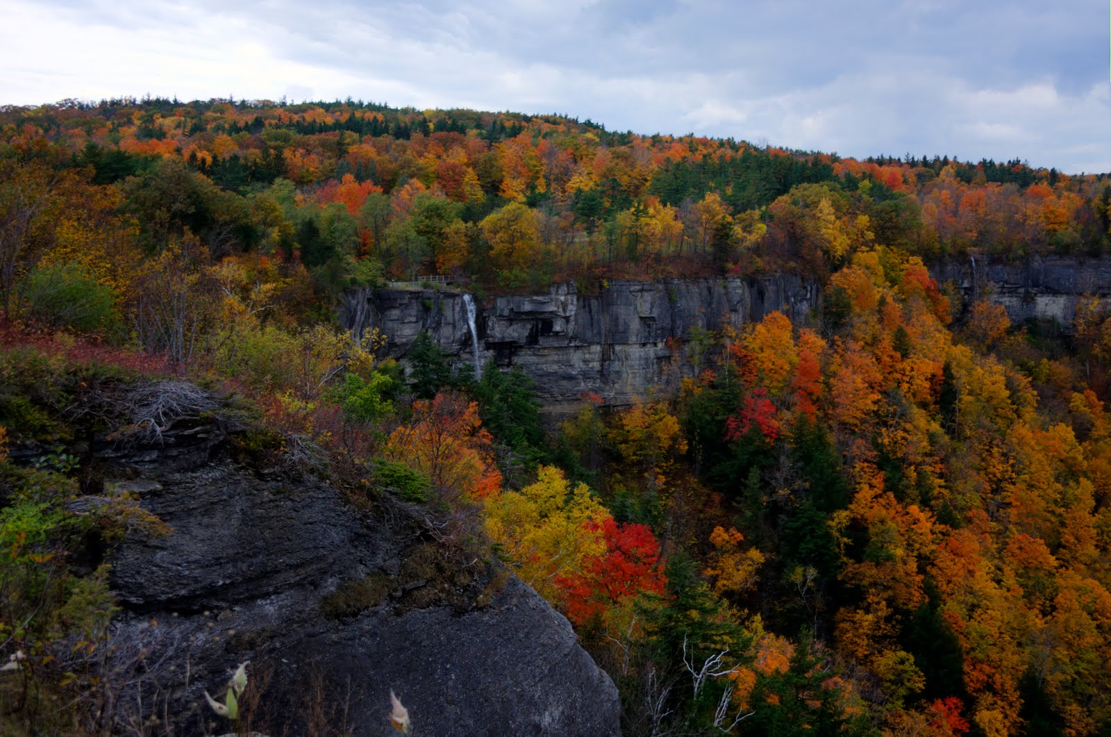 A Day In the Life Of: Thacher Park - Indian Ladder Trails, Albany, NY