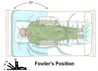 YANG's: fowler's position