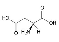 Consejos sobre tratamientos naturales de salud: Ácido aspártico (Aspartato)