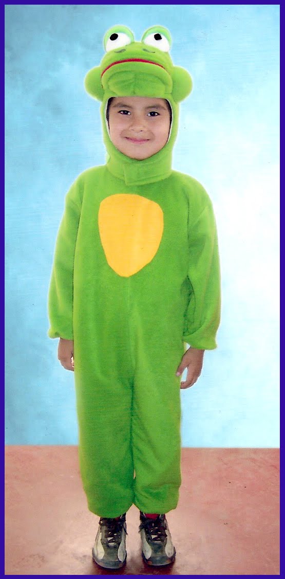 Disfraz de sapo - Imagui