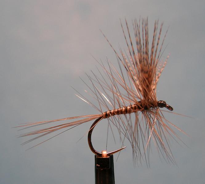 Niklas Dahlin -Flytier: Quill Gordon
