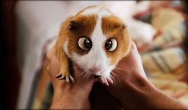 My blog: Adam Sandler