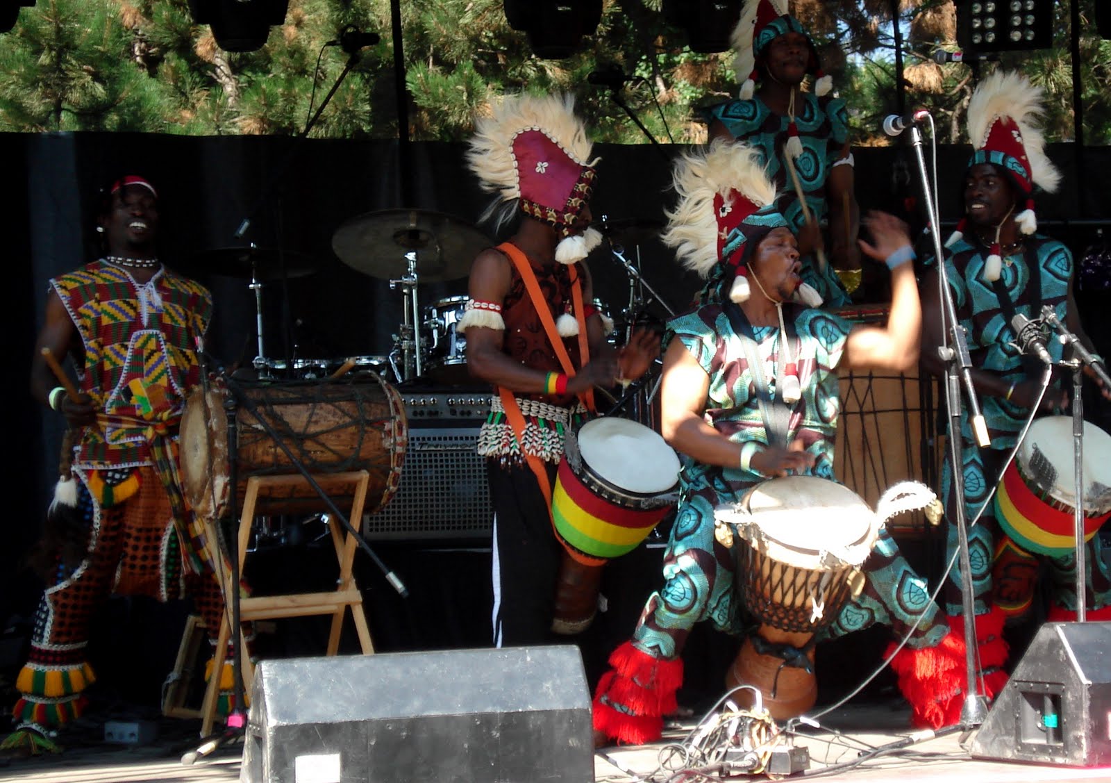 Eye on a Crazy Planet: Afrofest Pictures