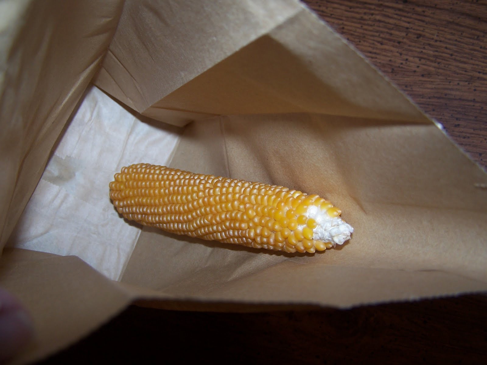 I Started Out As A Child: Parable of the Popcorn and Harvest Moon