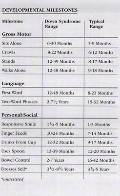 The Chronicles of Ellie Bellie Bear: Down Syndrome T21