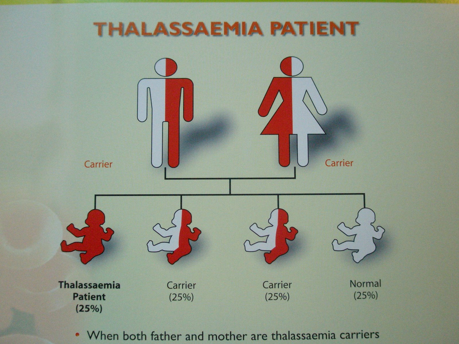 Mengenali Penyakit Talasemia | Jurnal Shikin Razali