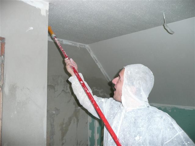 Bautagebuch Diers: Flüssige Raufaser DG