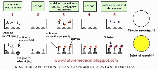 TEST ELISA SIDA (TEST HIV);Le pricipe