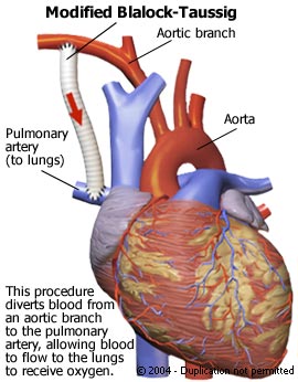 TMC Volume 2, Issue 3 section III: Much Better Than the Owner of a ...