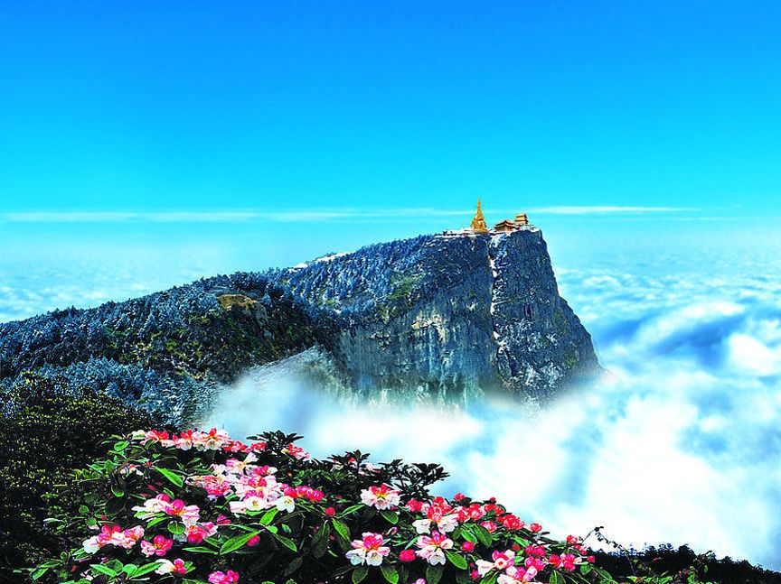 Travel n Travel: Exploring Mount Emei
