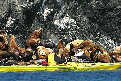 Travel n Travel: Sea Kayaking Kodiak, Alaska - Exploring an Island Paradise