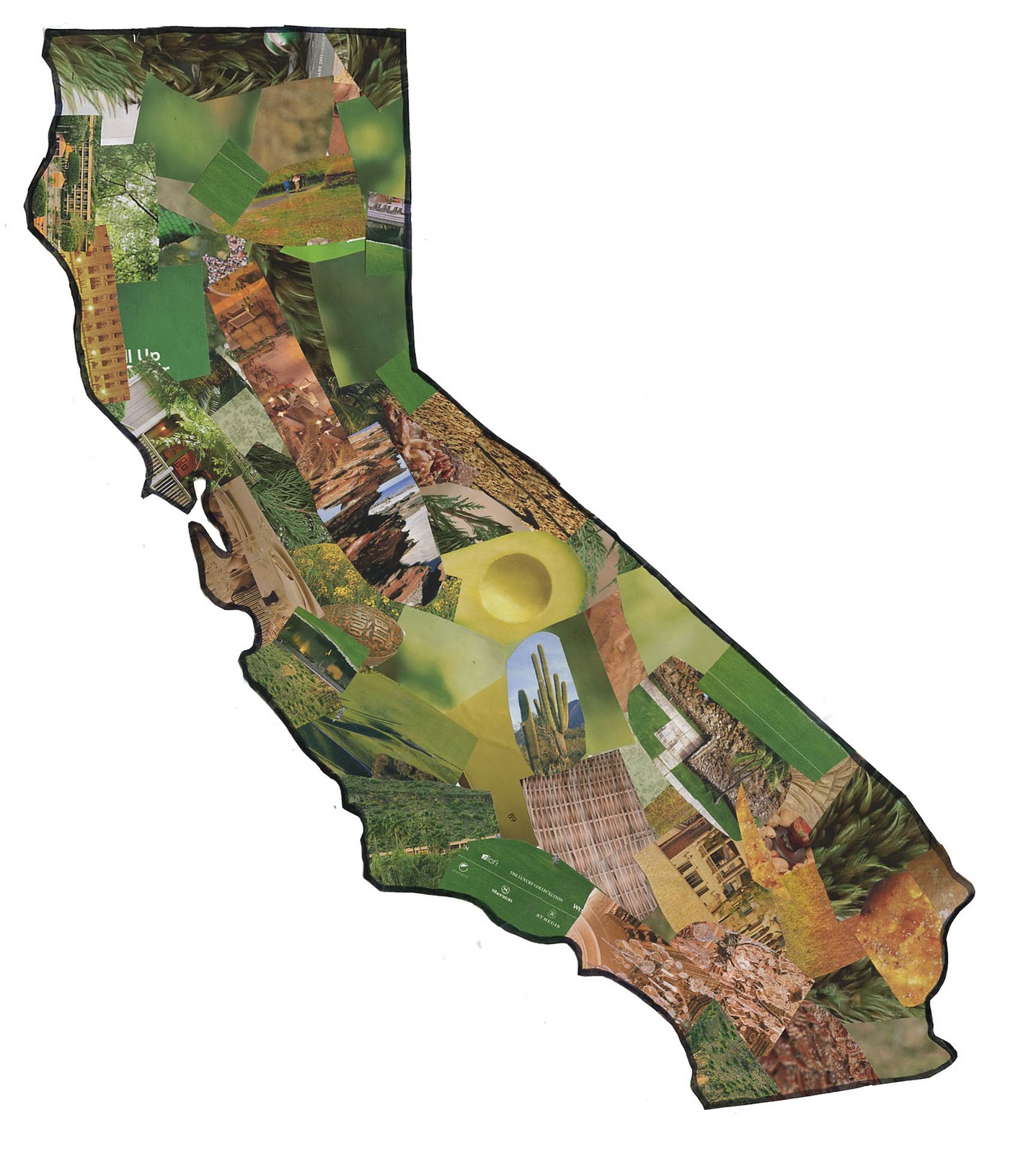 California Collage with PDF Template | Art Projects for Kids