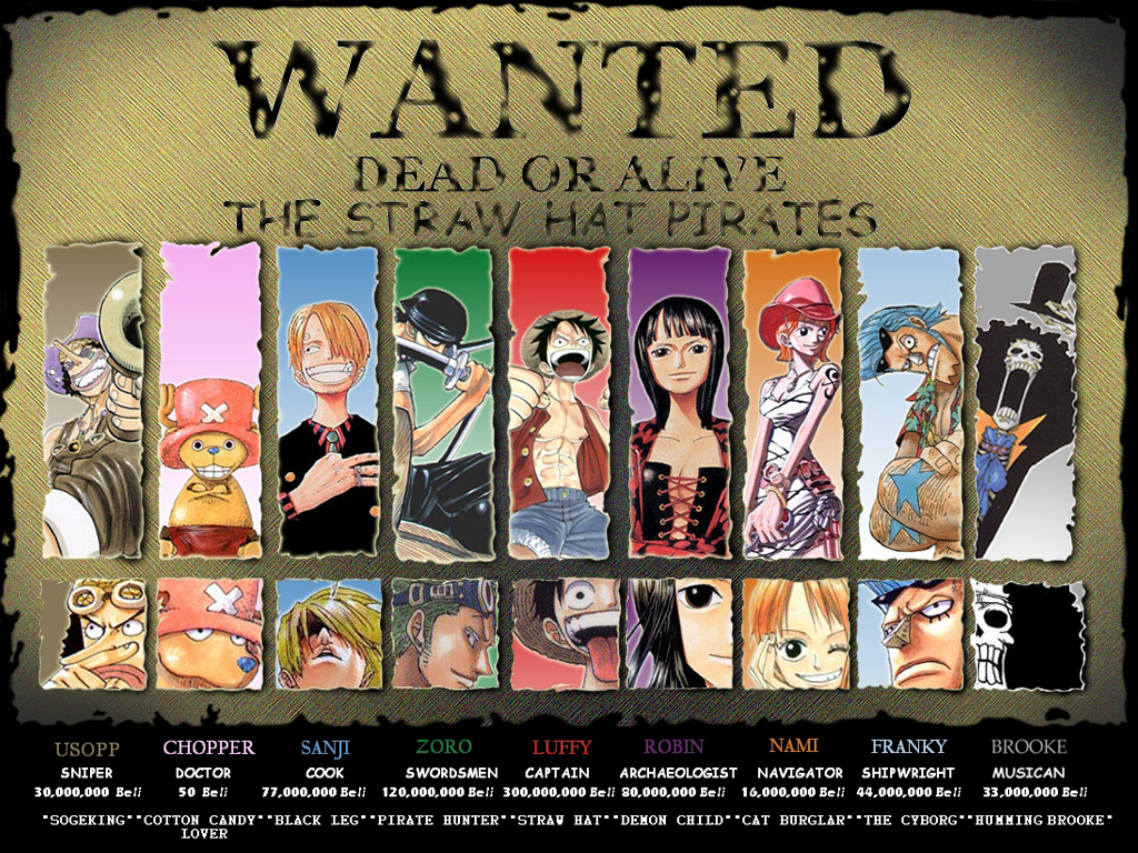 My Over viewed Subject ANIME MANGA ONEPIECE