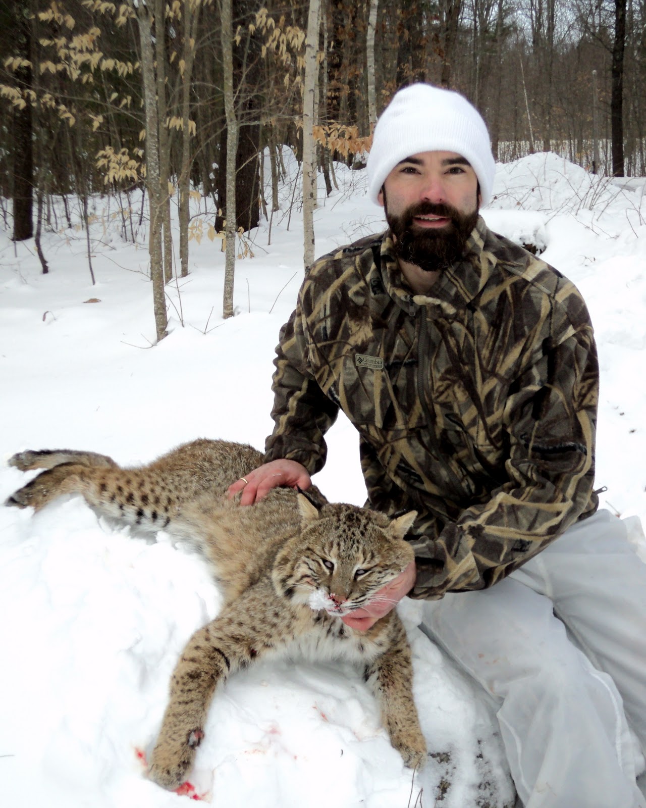 The Maine Outdoorsman: New Years Eve Bobcat