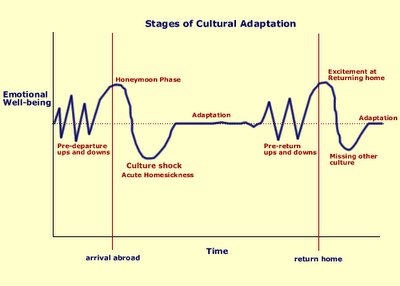 My year in Denmark!: The Truth about Homesickness