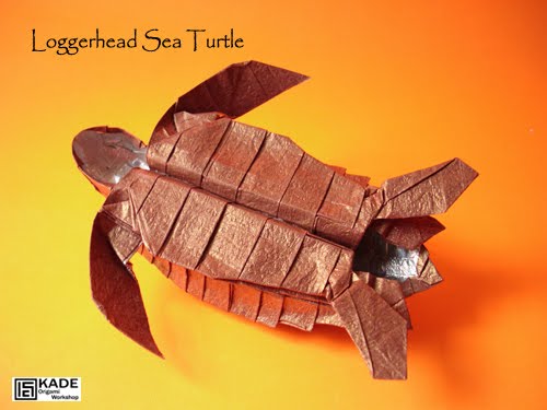 Kade Chan Origami Blog 香港摺紙工作室 (日誌): Loggerhead Sea Turtle
