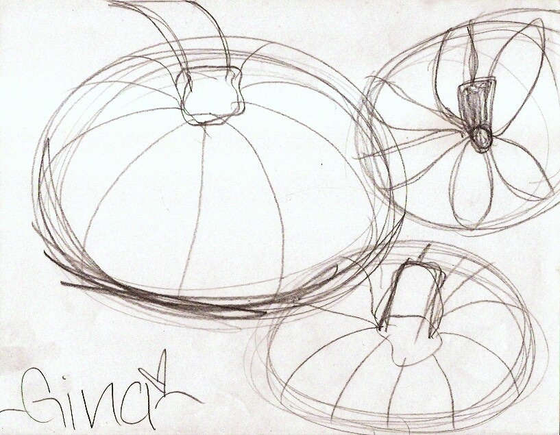 Salinas Sketchers: Weeks 7-10: Form, Contours, Tonal Value, Positive ...