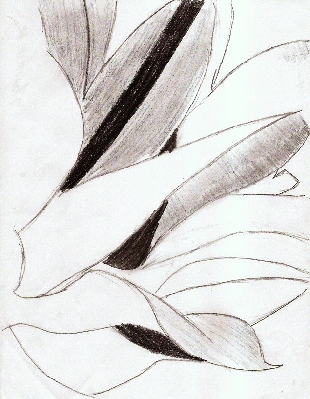 Natural Bridges Sketchers: Weeks 7-10: Form, Contours, Tonal Values ...