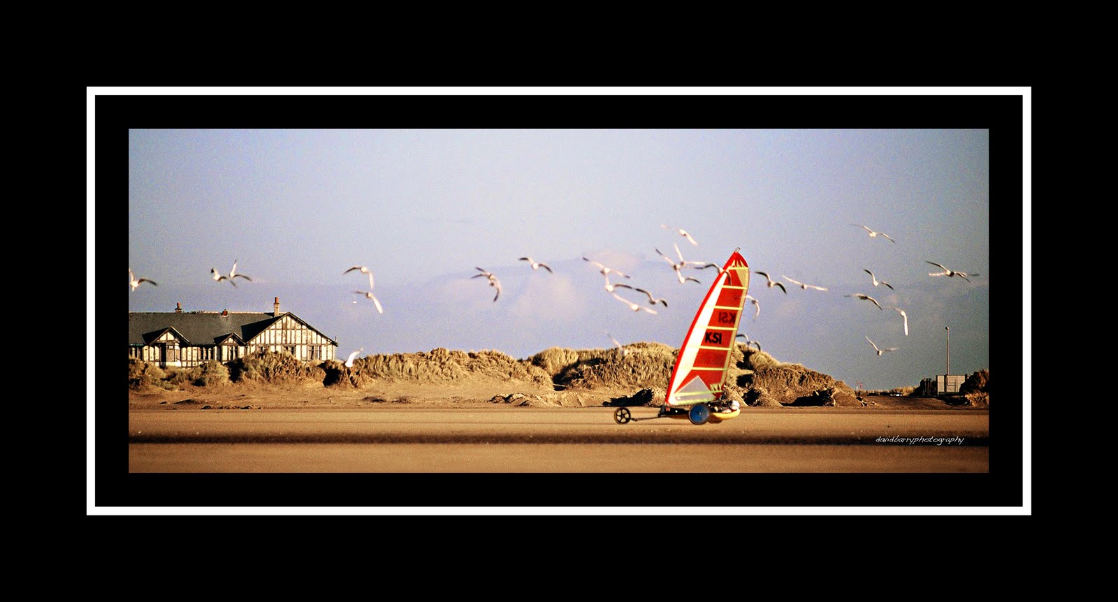 David Barry Photography's Blog: January 2011