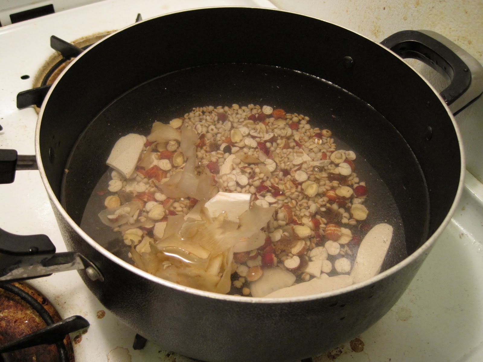 Good Chinese Food in Boston: Homemade Cantonese Soup—Ching Po Leung