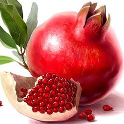 T.PAGE: SUCUL DE RODIE ARE EFECT DE VIAGRA?!!!