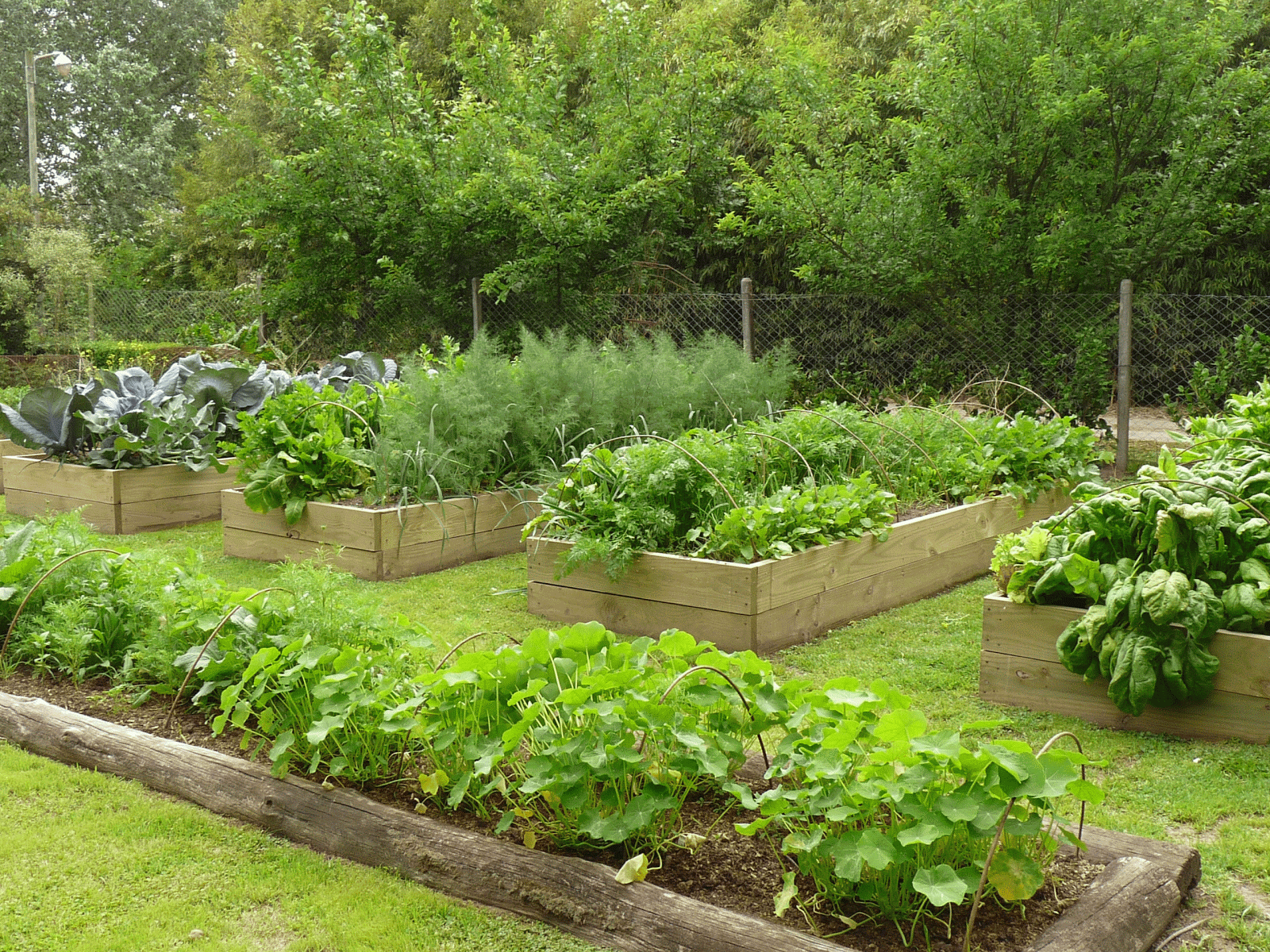 flor de huerta | ALTO PIRULO VINTAGE