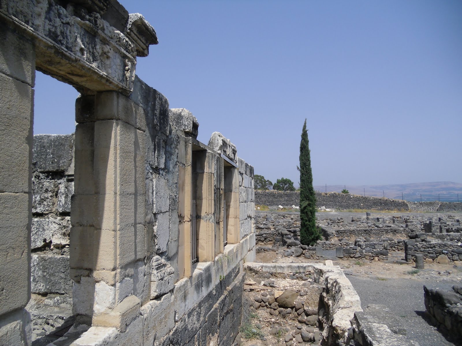 Partake in my Pilgrimage: Capharnaum