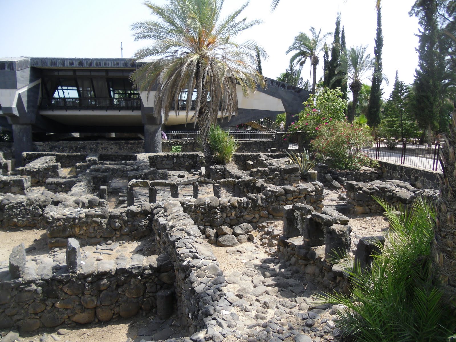 Partake in my Pilgrimage: Capharnaum
