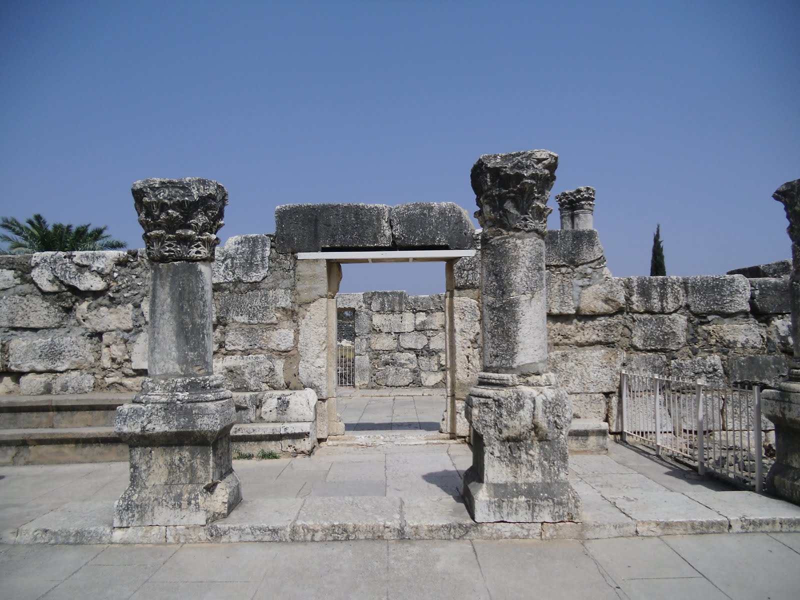Partake in my Pilgrimage: Capharnaum