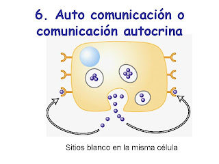 Esta comunicación es muy