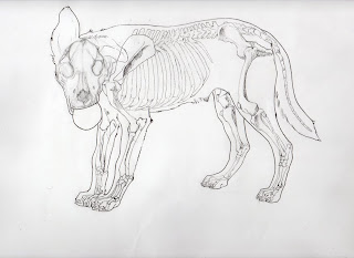 Art of Abby Lee: Border Collies