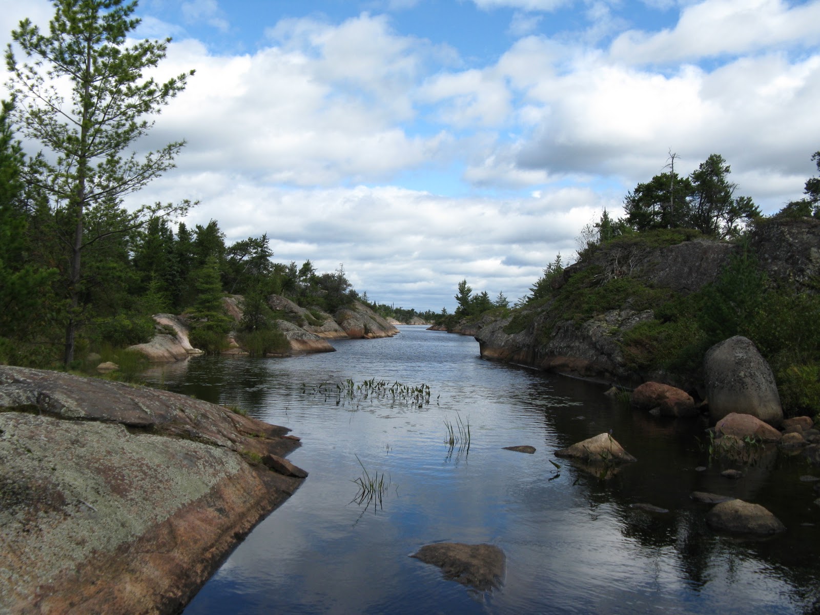 mastertangler: Fox Bay via Fox creek/Georgian Bay