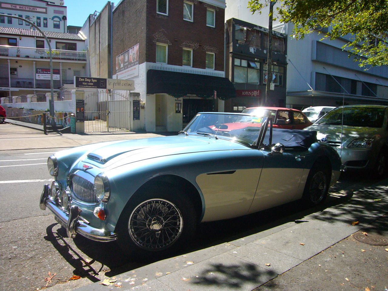 My Darling Darlinghurst: Darlinghurst: Hoon Cars: Austin-Healey