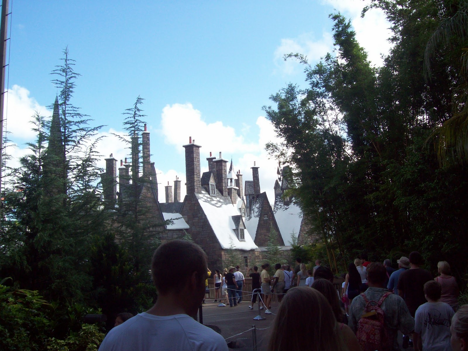 The Library Lurker: The Wizarding World of Harry Potter