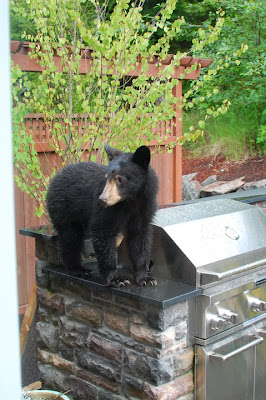 Bears in your backyard? Get Bear Smart