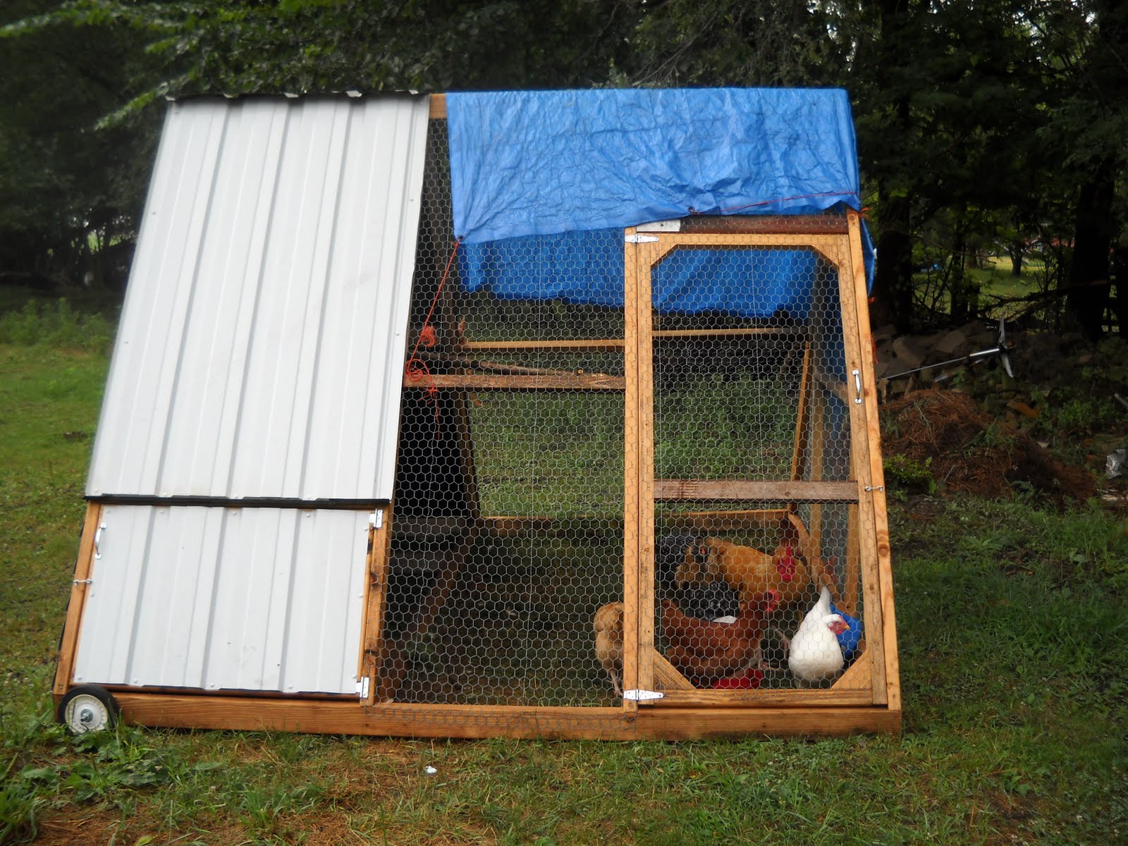 One Cow Co: Chicken Tractor Pics