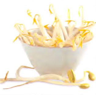 Beans-How to make bean sprouts? | Travel in Vietnam|Vietnamese Food and ...