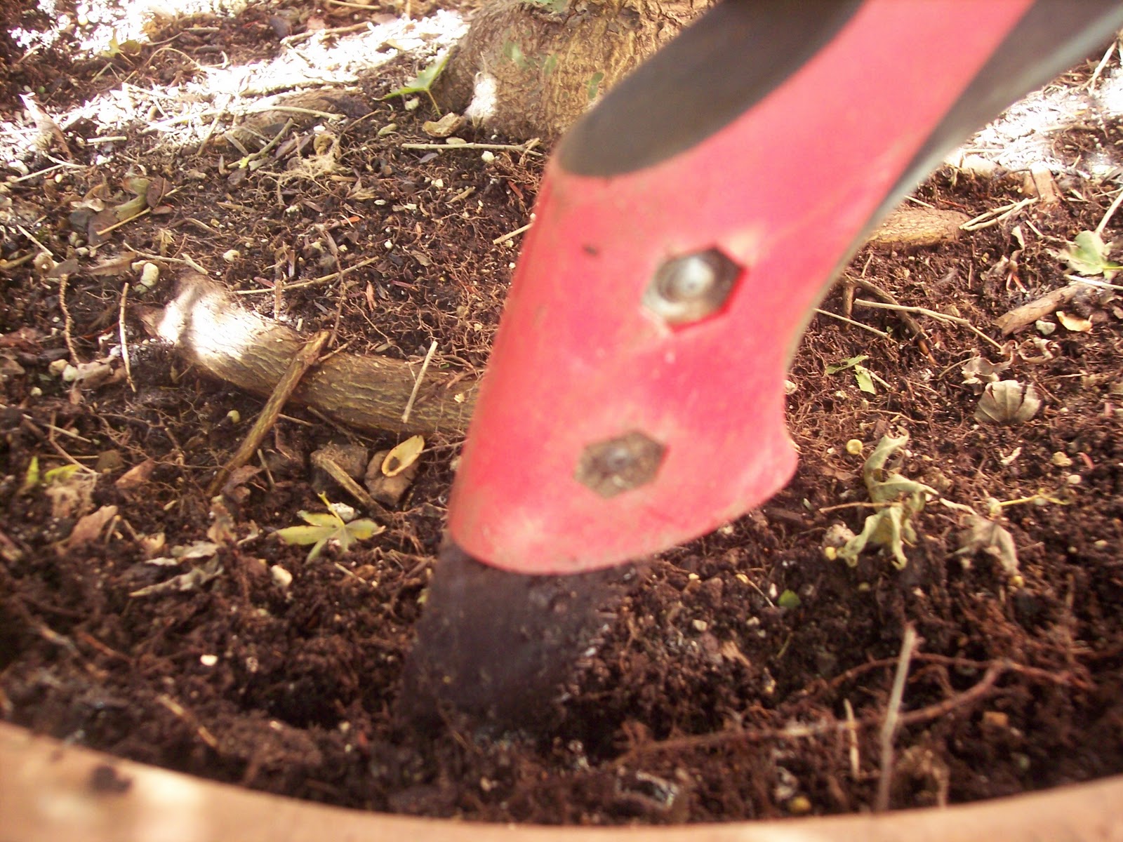 Rooftop Gardens NYC: Root Pruning Container Plants